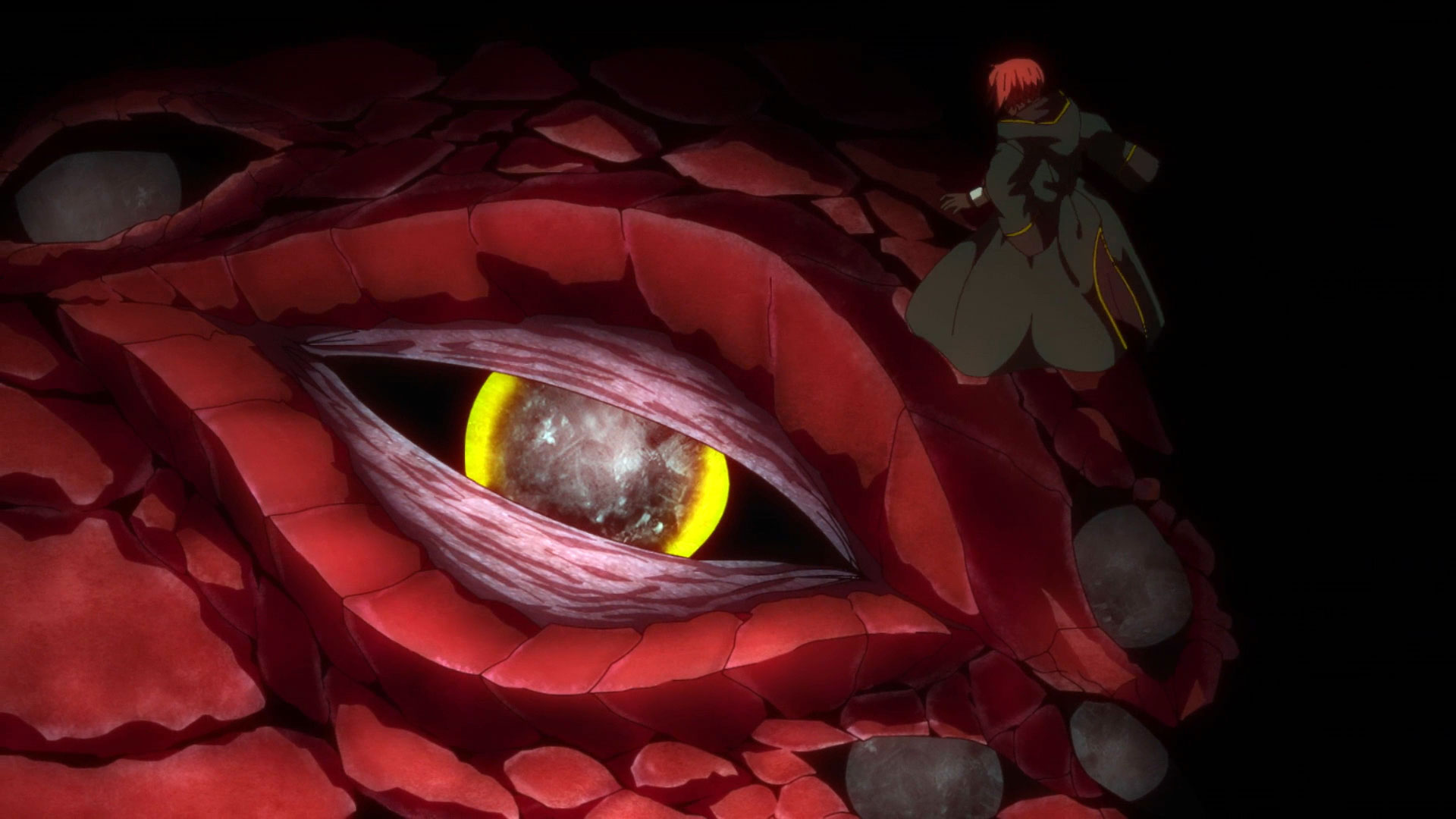 The Ancient Magus’ Bride: Chise the Dragon Theories, Explained